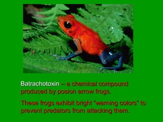 Amphibian Defense Notes | PPT