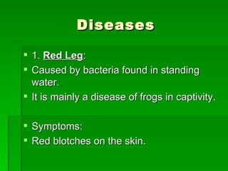 Amphibian disease and reproduction | PPT