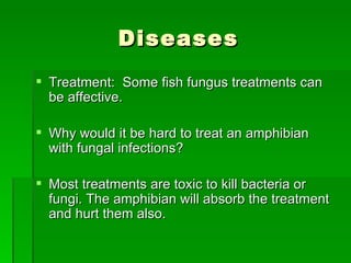 Amphibian disease and reproduction | PPT