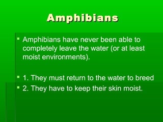 Amphibian Eating Notes | PPT