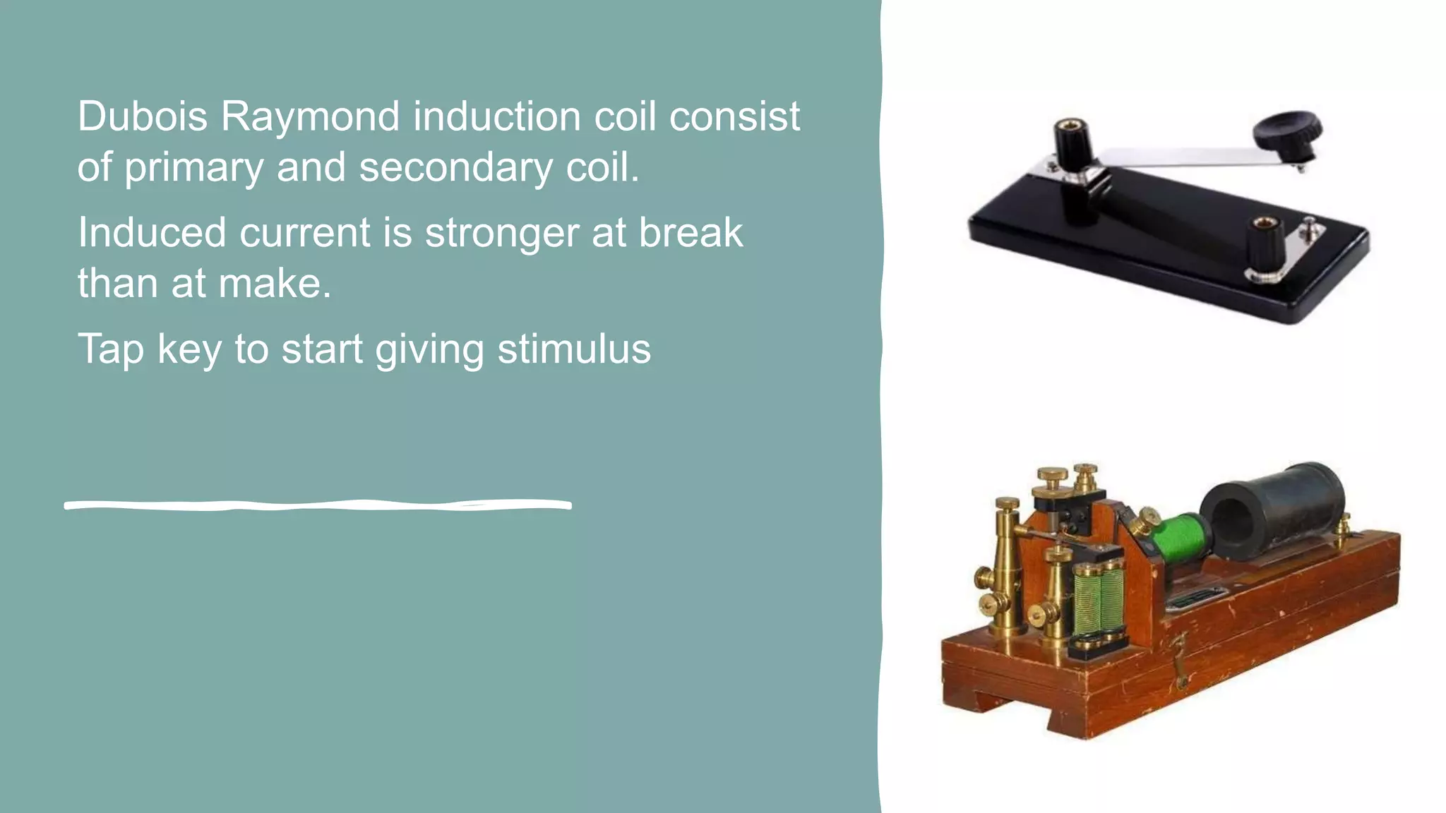 Amphibian graph & charts.pptx
