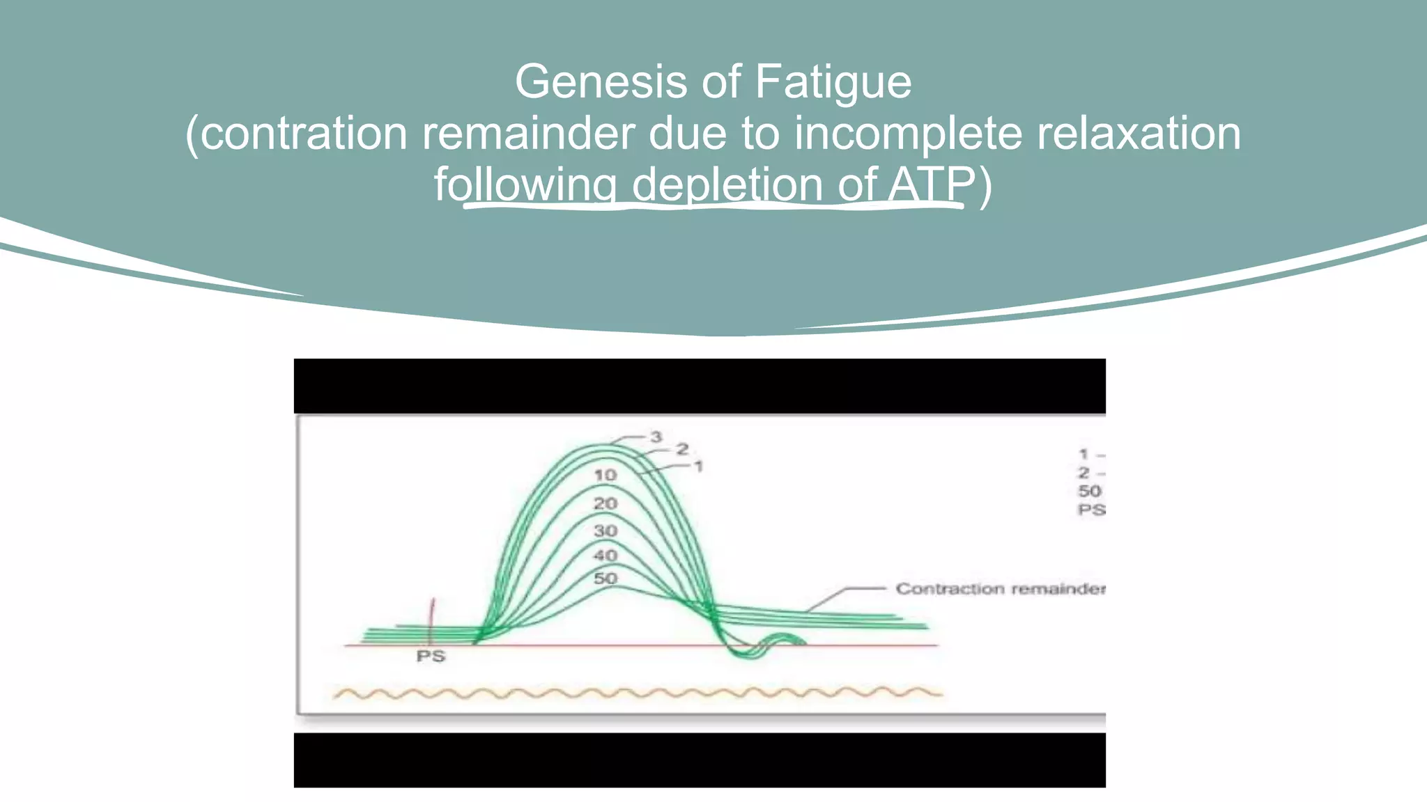 Amphibian graph & charts.pptx
