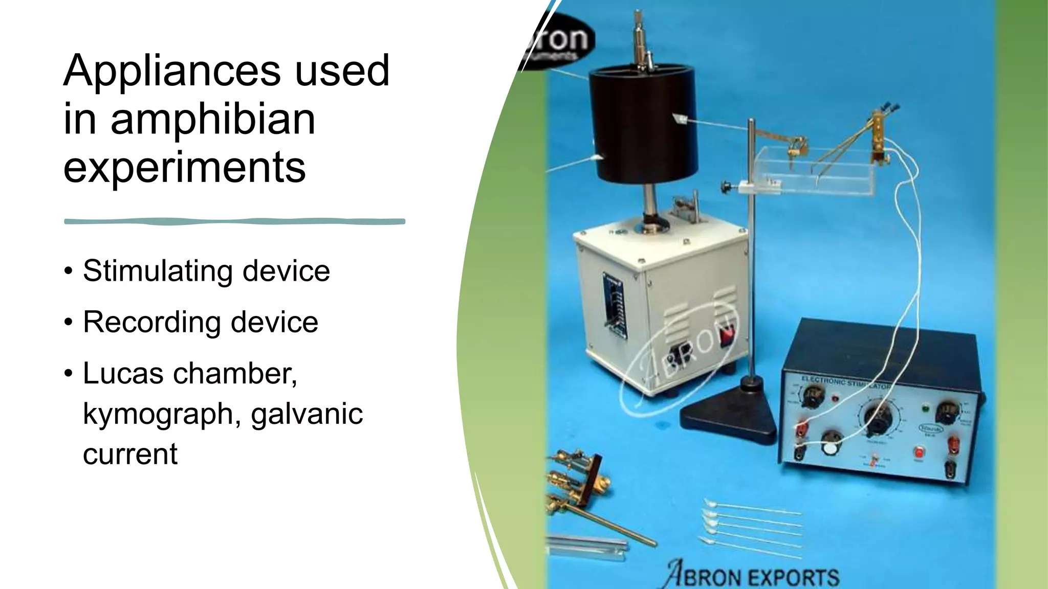 Amphibian graph & charts.pptx