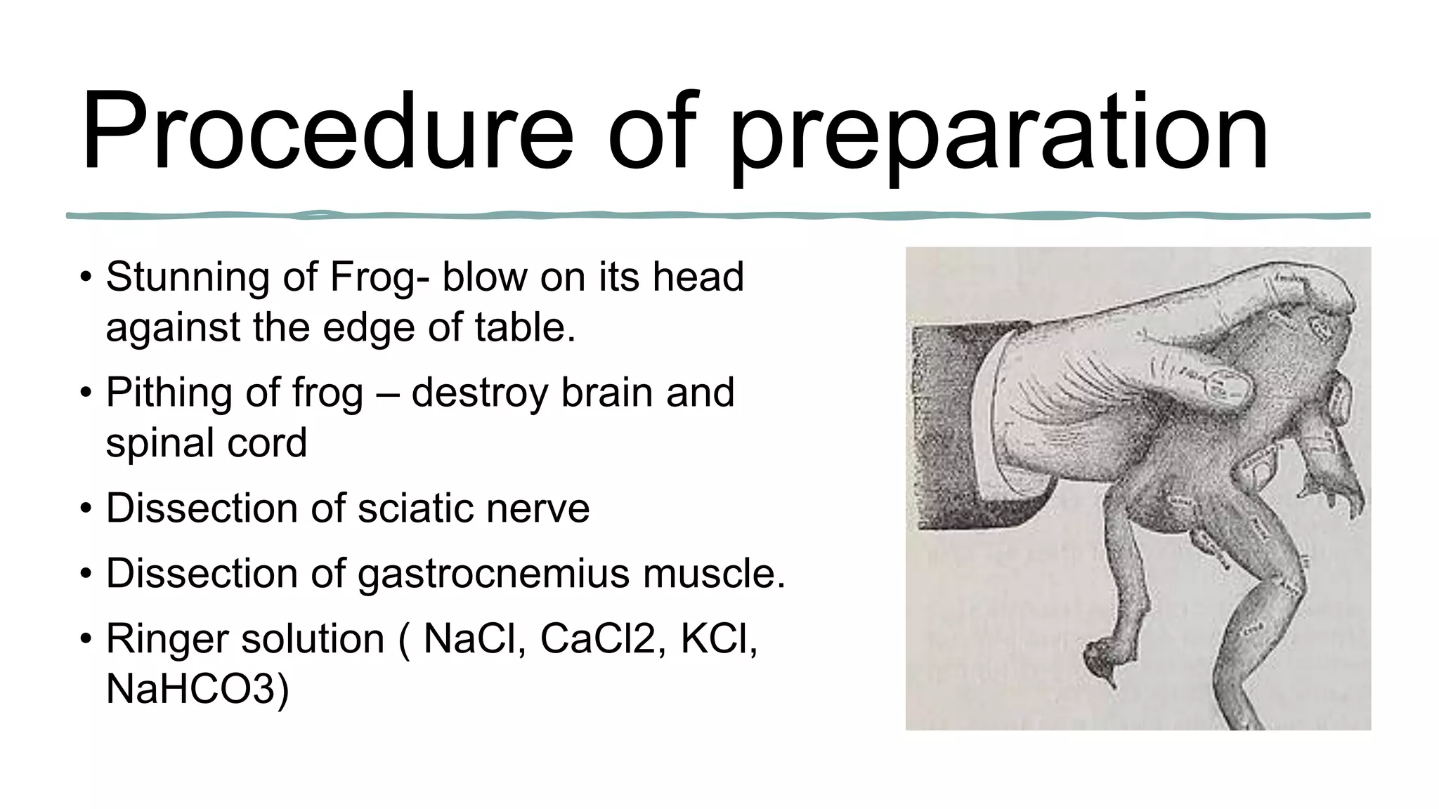Amphibian graph & charts.pptx