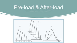 Amphibian graph & charts.pptx