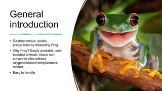 Amphibian graph & charts.pptx