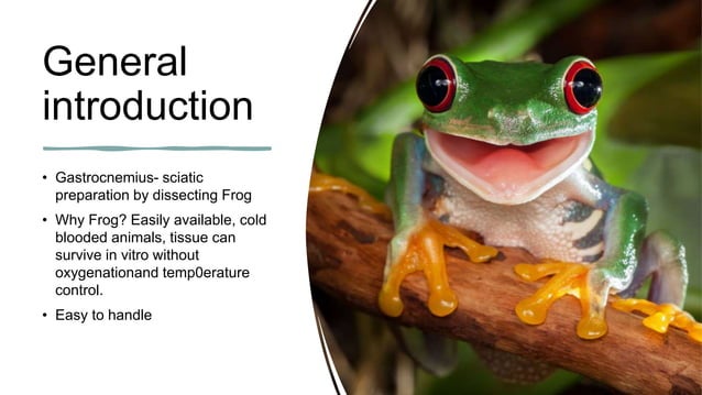 Amphibian graph & charts.pptx