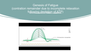 Amphibian graph & charts.pptx