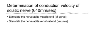 Amphibian graph & charts.pptx