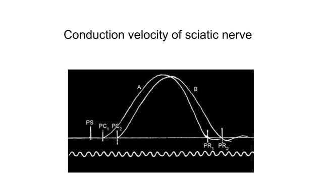 Amphibian graph & charts.pptx