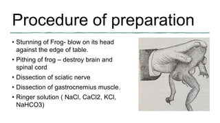 Amphibian graph & charts.pptx