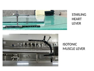 Amphibian instruments, circuits and nerve muscle preparation.pptx