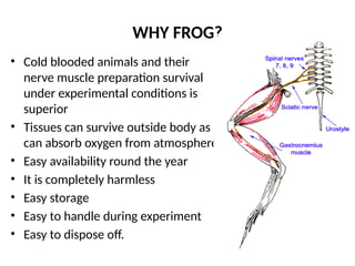 Amphibian instruments, circuits and nerve muscle preparation.pptx