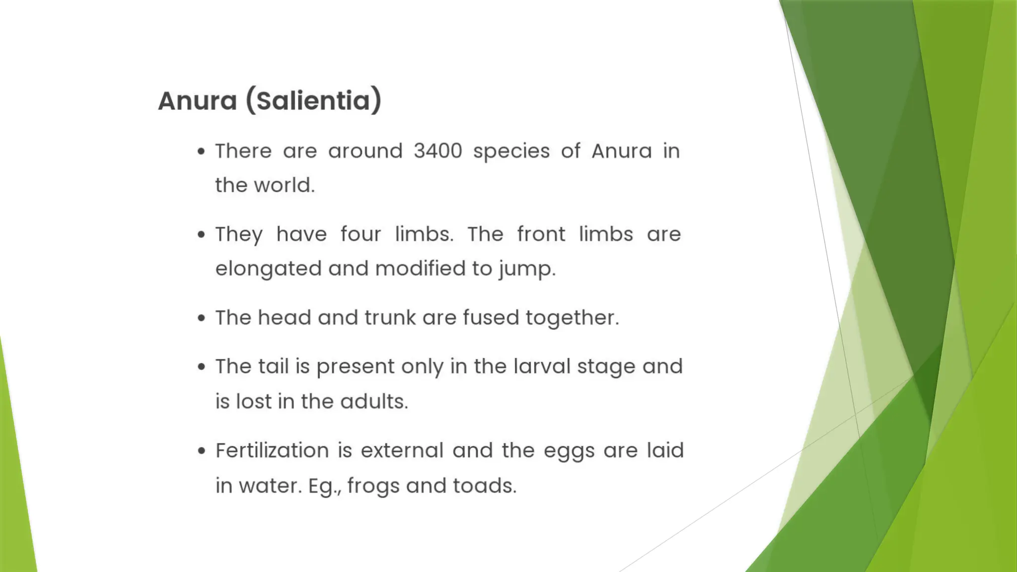 AMPHIBIAN, Deference between Frog and Toad ppt.pptx