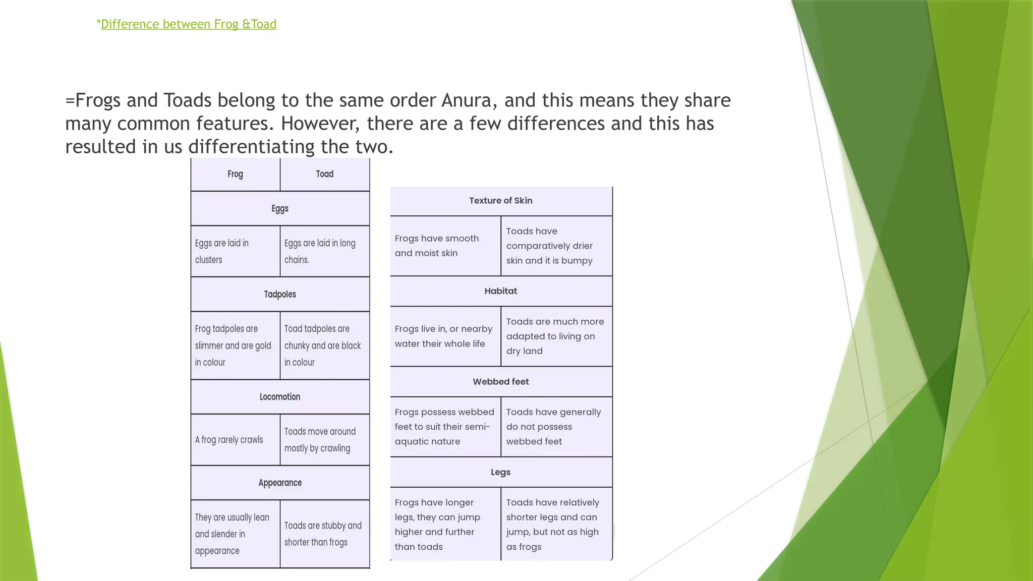 AMPHIBIAN, Deference between Frog and Toad ppt.pptx