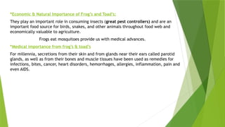 AMPHIBIAN, Deference between Frog and Toad ppt.pptx