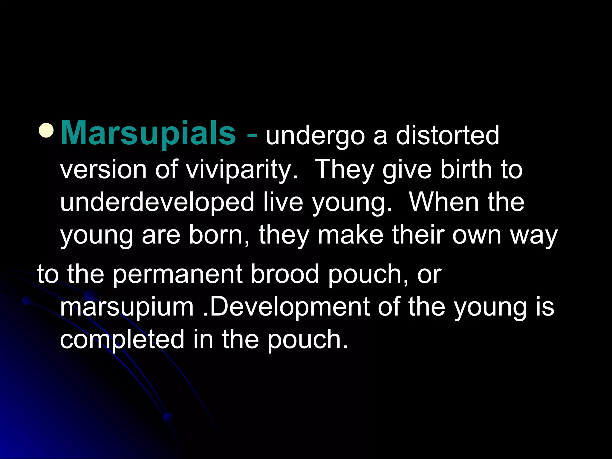 Amphibian reproduction | PPT