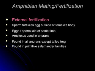Amphibian reproduction | PPT