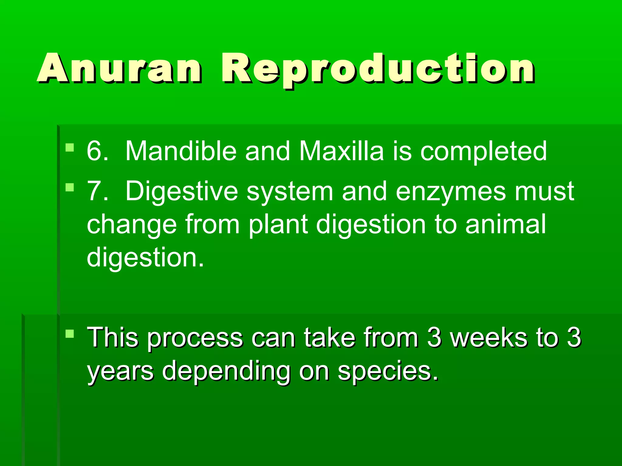 Amphibian Reproduction Notes | PPT