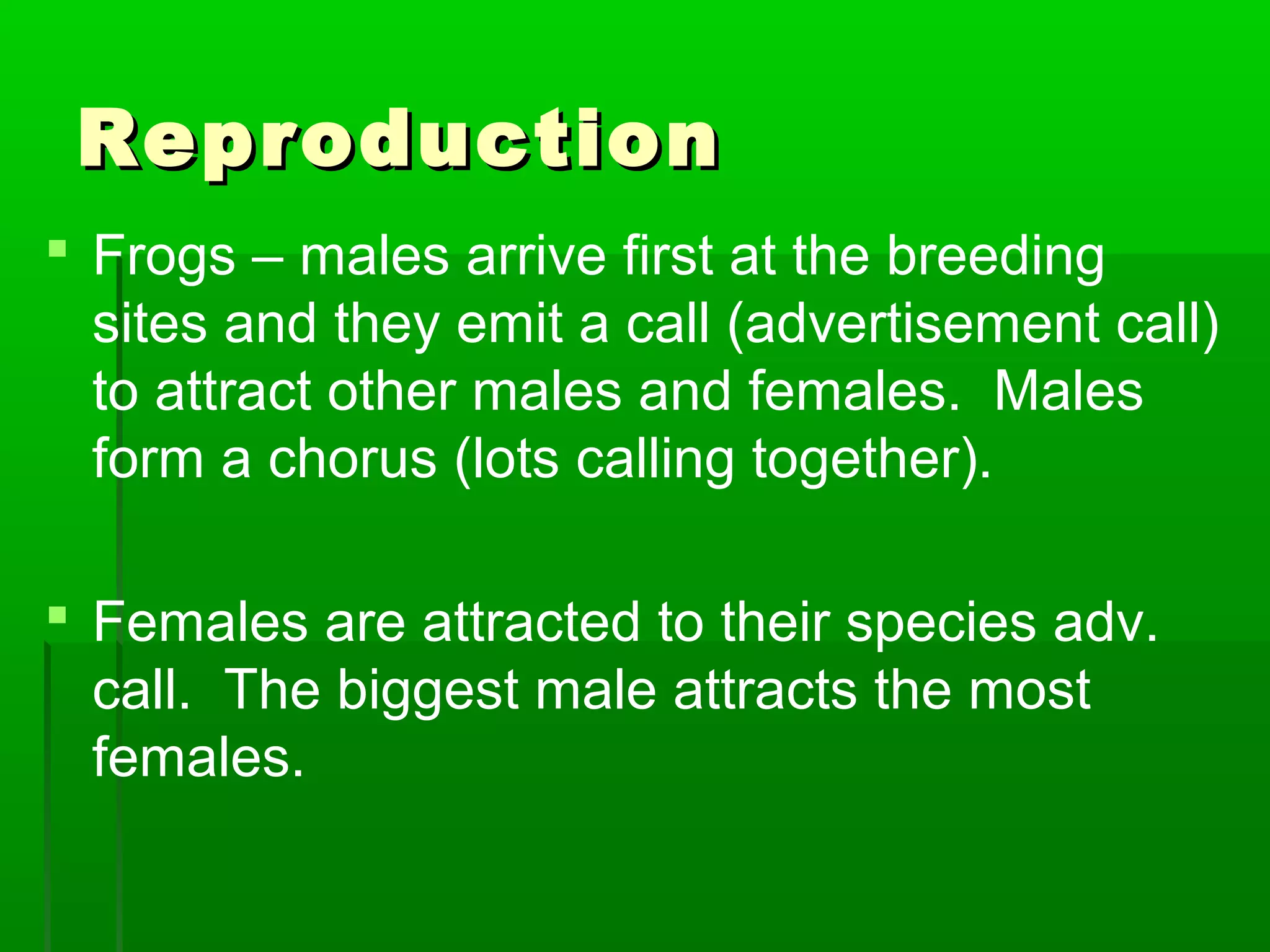 Amphibian Reproduction Notes | PPT