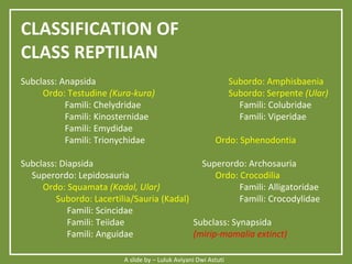 Biodiversitas Hewan: Amphibi & Reptil | PPTX