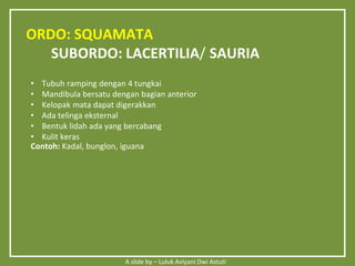 Biodiversitas Hewan: Amphibi & Reptil | PPTX