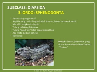 Biodiversitas Hewan: Amphibi & Reptil | PPTX