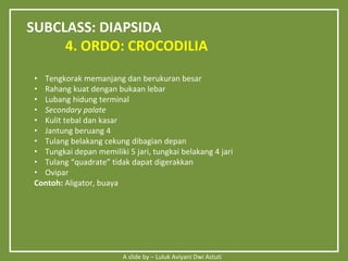 Biodiversitas Hewan: Amphibi & Reptil | PPTX