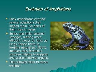 Amphibians | PPT | Reptiles | Pets