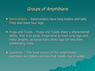 Amphibians | PPT | Reptiles | Pets