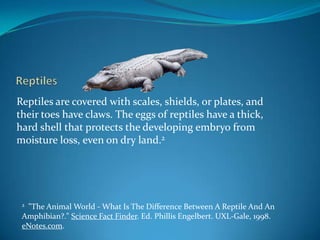 Amphibians and Reptiles | PPTX