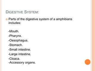 Amphibians | PPTX | Lung and Respiratory Health | Diseases and Conditions