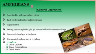 Amphibians | PPT