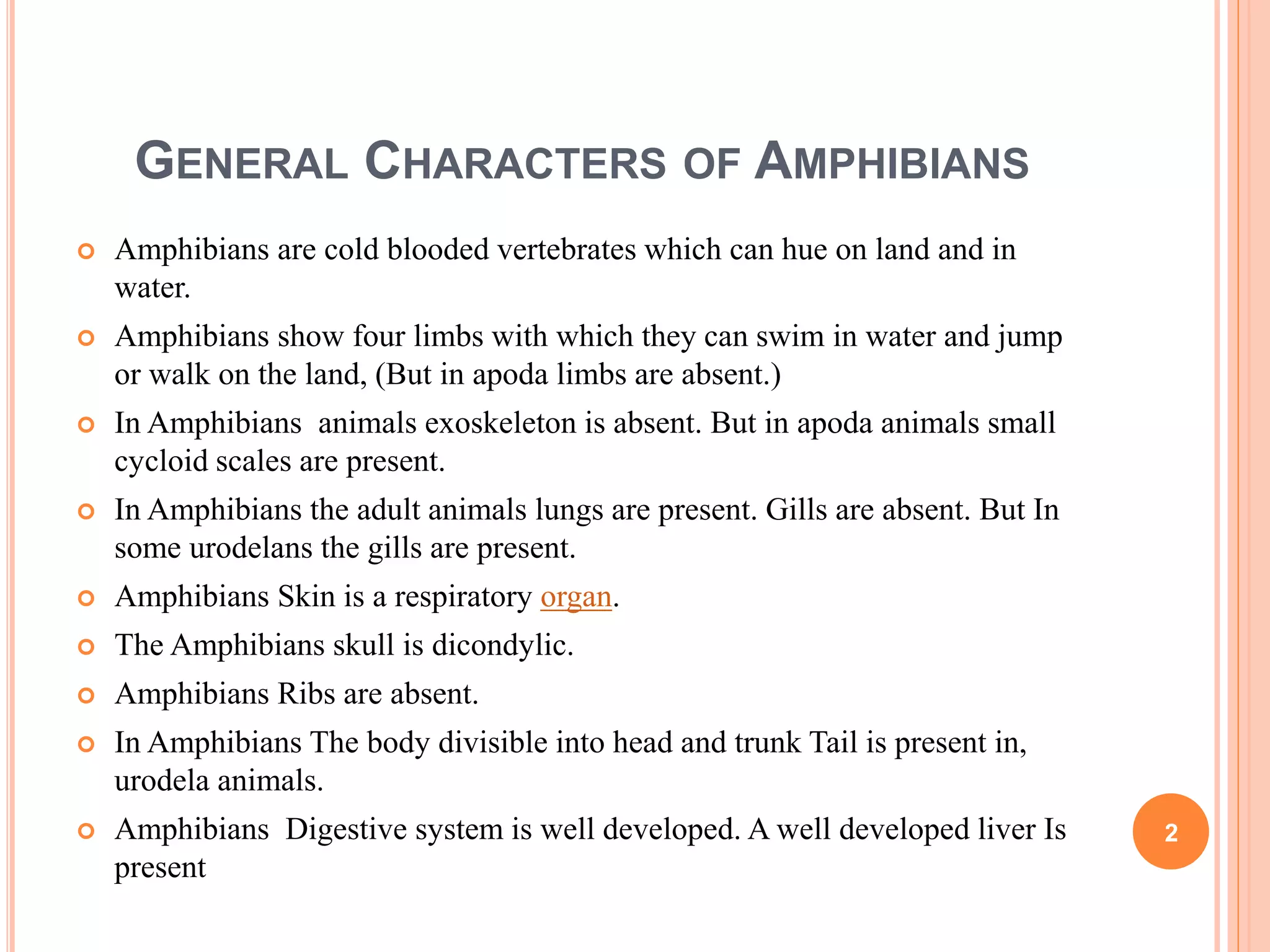 Amphibians | PPTX