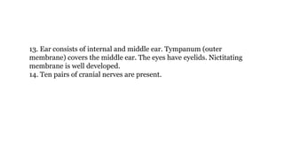 Amphibians (Vertebrates) | PPTX