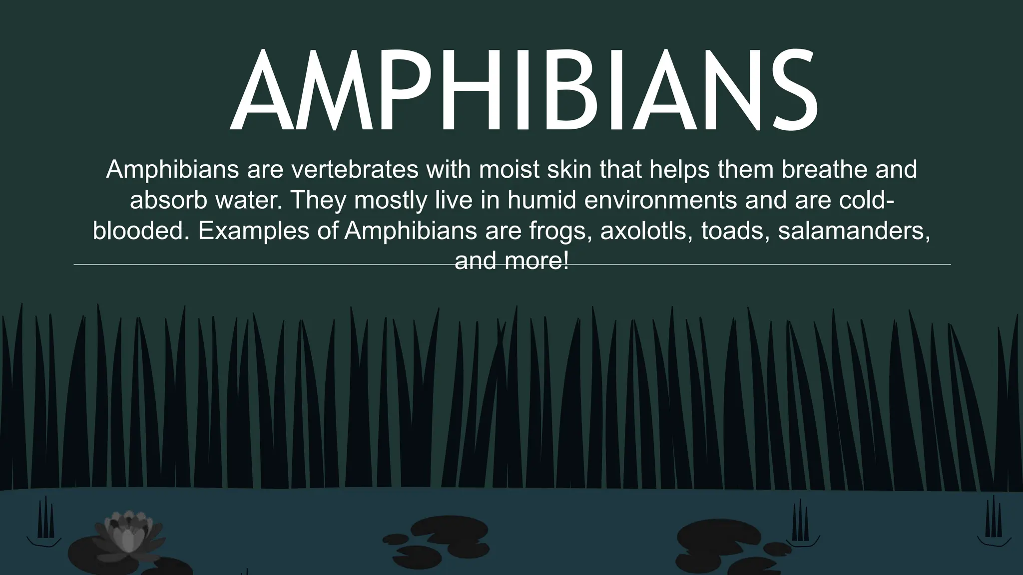 ALL ABOUT AMPHIBIANS ALL ABOUT AMPHIBIANS.pptx