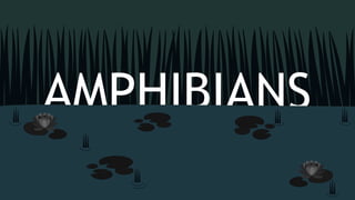 ALL ABOUT AMPHIBIANS ALL ABOUT AMPHIBIANS.pptx