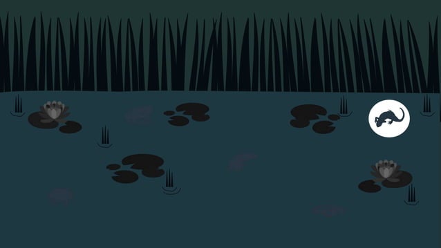 ALL ABOUT AMPHIBIANS ALL ABOUT AMPHIBIANS.pptx