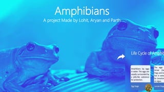 Amphibians study and this is a summary of the topic | PPT