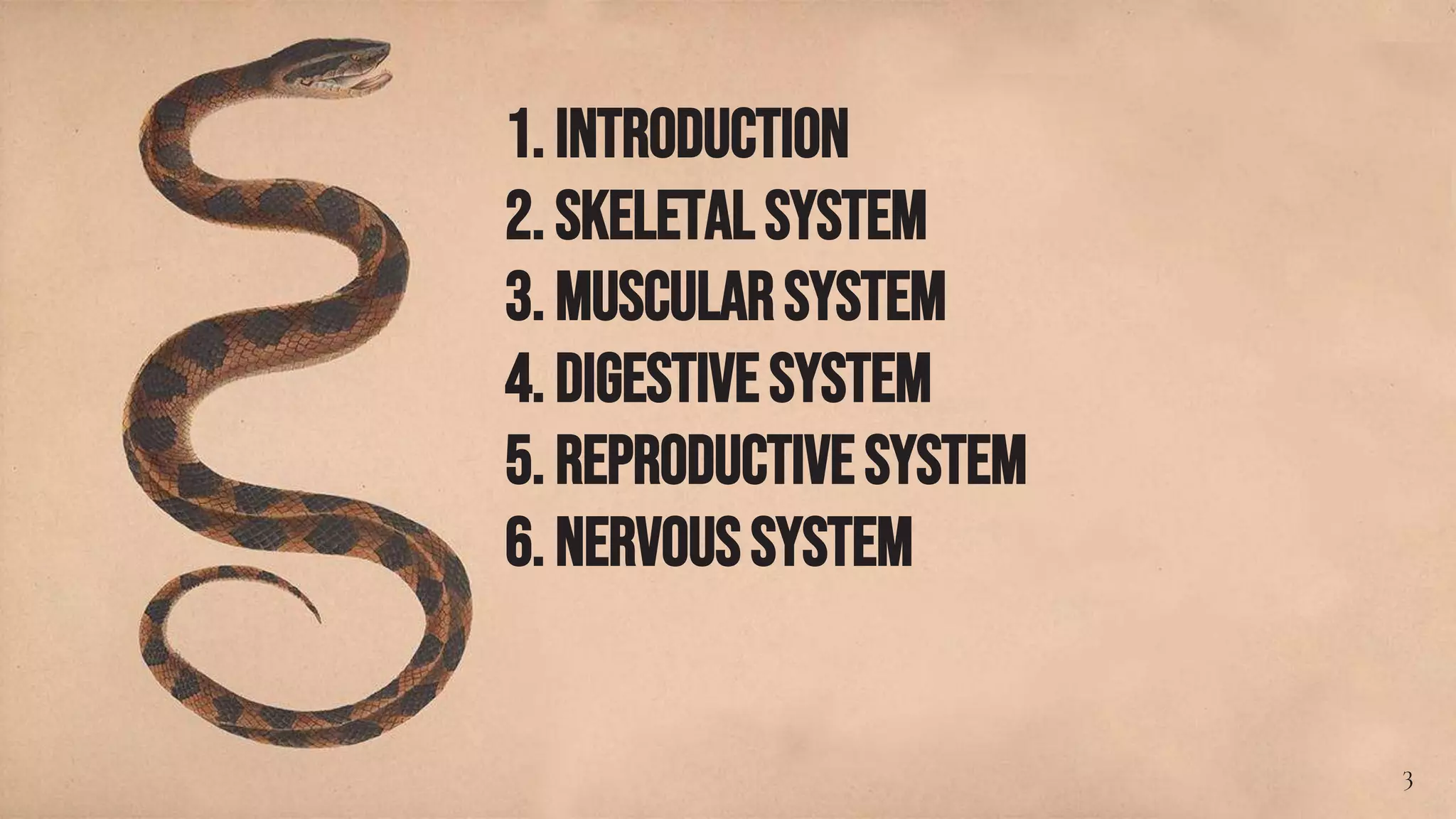 Amphibians - ANSHIKA SLIDES.pptx | Biological Sciences | Science