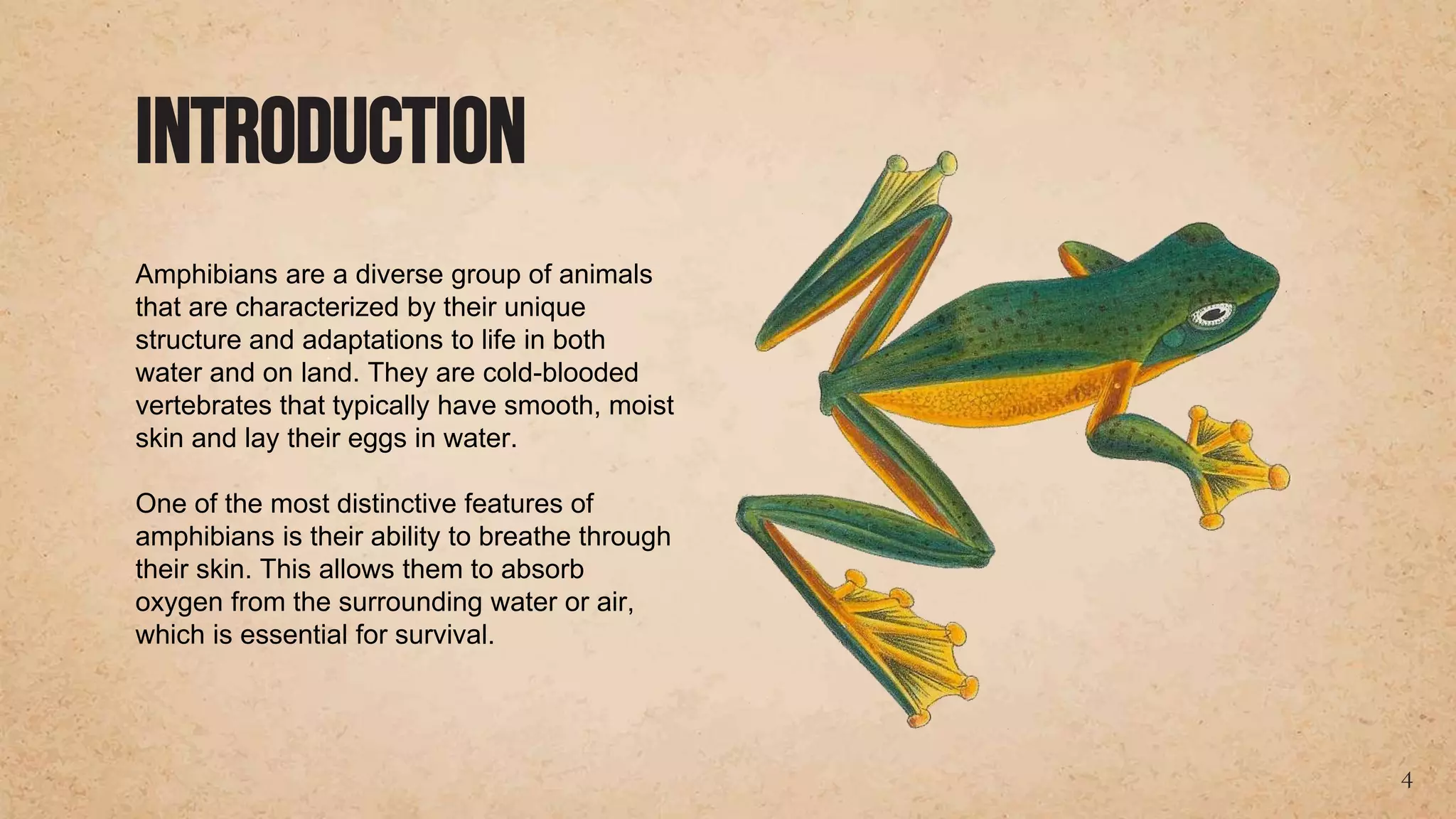 Amphibians - ANSHIKA SLIDES.pptx | Biological Sciences | Science