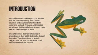 Amphibians - ANSHIKA SLIDES.pptx | Biological Sciences | Science