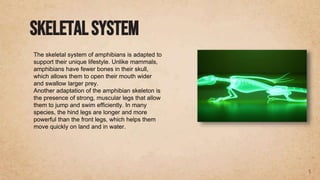 Amphibians - ANSHIKA SLIDES.pptx | Biological Sciences | Science