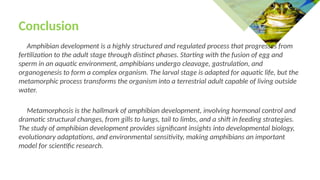 amphibians development PowerPoint presentation | PPTX