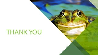 amphibians development PowerPoint presentation | PPTX