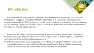 amphibians development PowerPoint presentation | PPTX