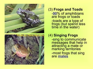 Amphibians and reptiles | PPT