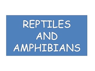 Amphibians and reptiles | PPT
