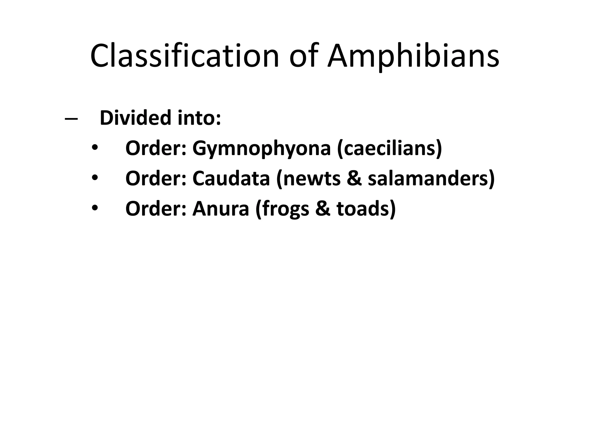 AMPHIBIANS CLASSIFICATION.pptx