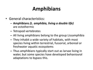 AMPHIBIANS CLASSIFICATION.pptx